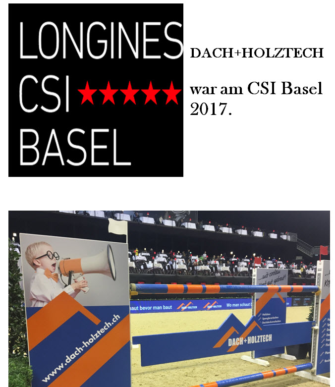 Flyer2 - Dach + Holztech
